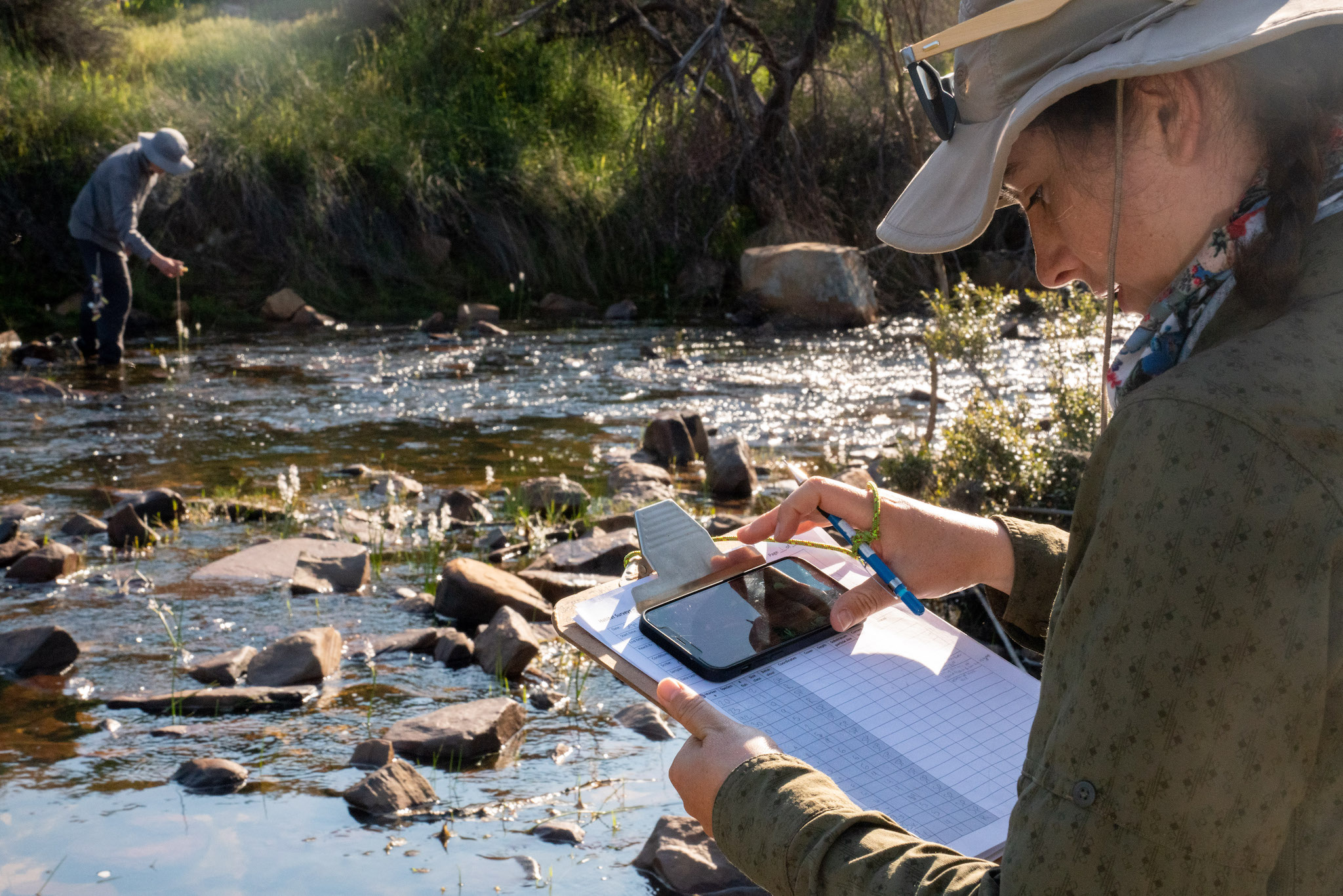 Cederberg Conservation – Mount Ceder